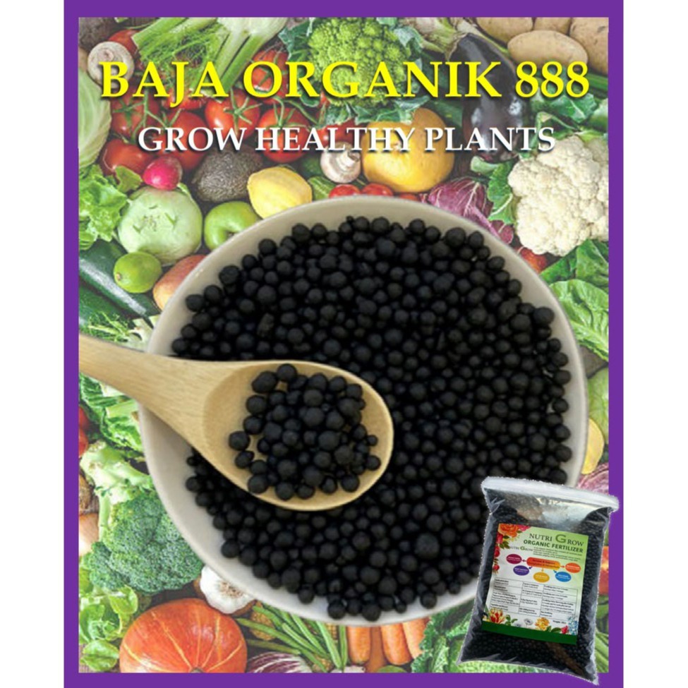 (1kg) Baja Kopi Organik Jepun NPK 888/Baja untuk Daun,Akar and Bunga ...