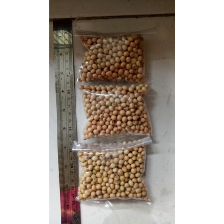 PUTIH Repack Packaging 90 Grams Of USA White Soybean Seeds For Collage ...