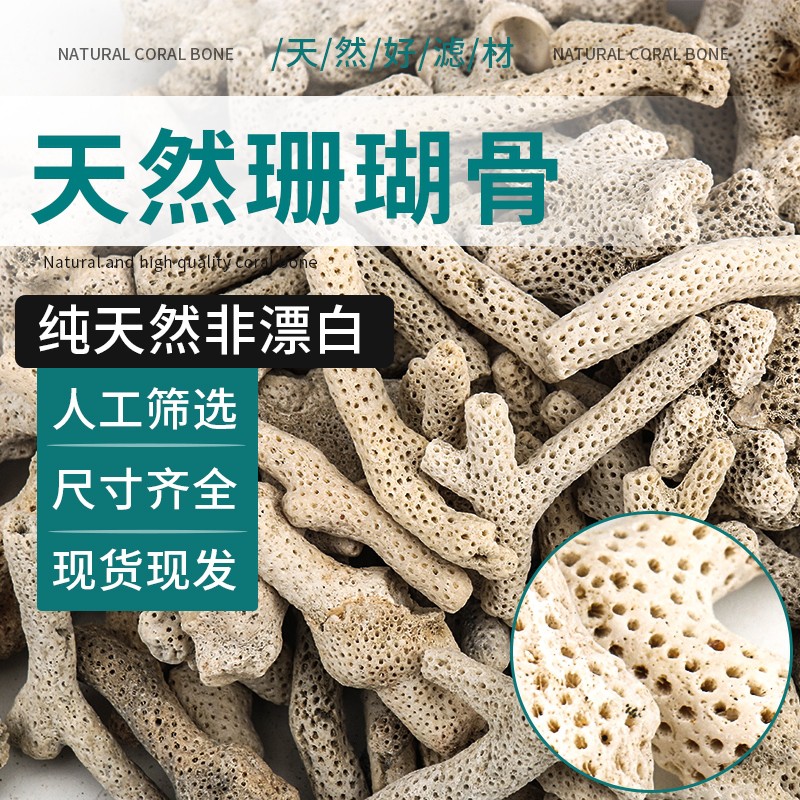 Coral Aquarium Filter Media Stone Leve A 珊瑚石 A级 | Shopee Malaysia