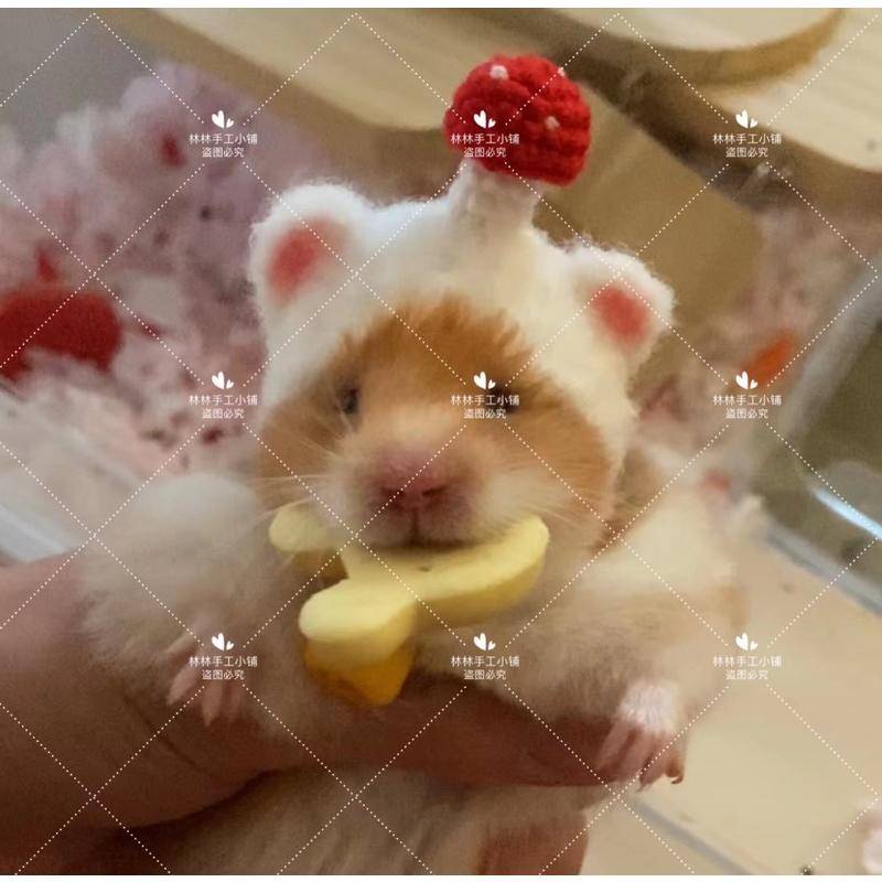 Hamster Hat Clothes Golden Bear Shape Cute Little Hat Ferret Hats, Hand ...