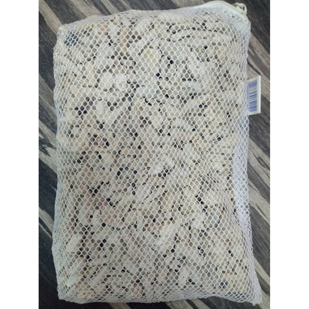 Coral Stone Filter Media with Net | Shopee Malaysia