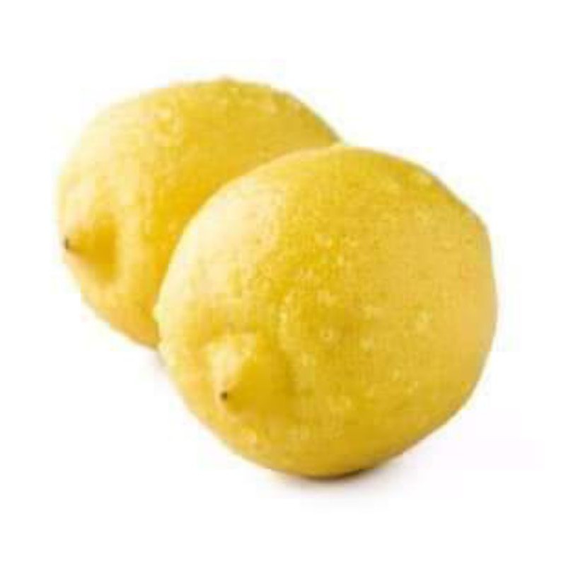 南非柠檬树苗🌱South Africa Lemon Tree🍋蜜源植物 🐝🐝🐝 | Shopee Malaysia