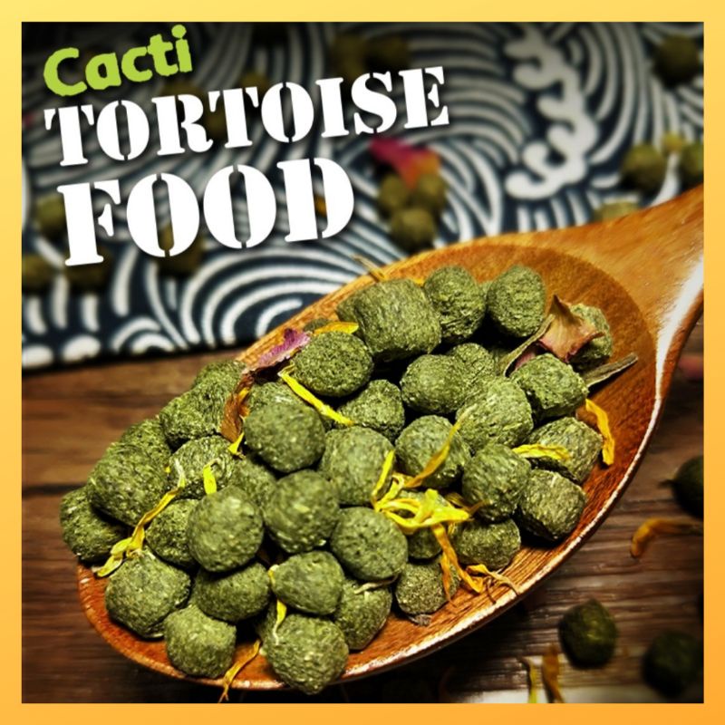 100%Original Cacti Tortoise Food Macfn Cactus flower tortoise food mix ...