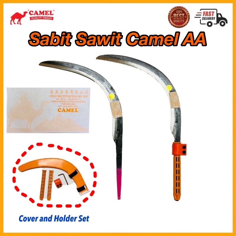 Sabit Sawit Camel AA/ sabit camel （Camel Original） | Shopee Malaysia