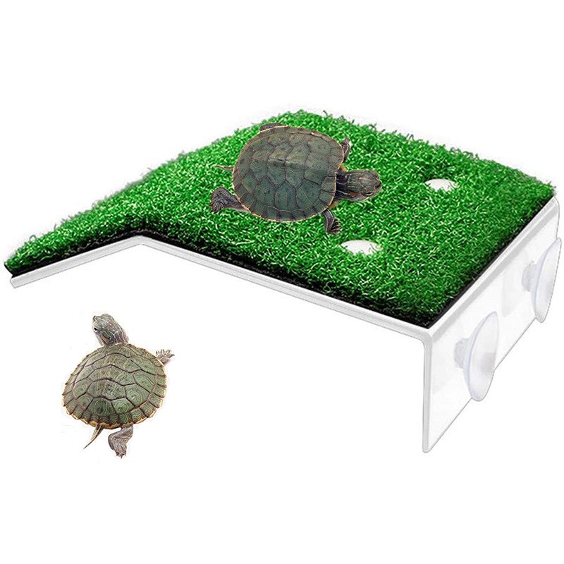 Turtle Basking Platform Terraces Grass Turtle Ramp Reptile Resting ...