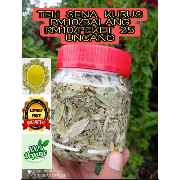 🔥TERMURAH🔥Teh Sena Balang/ Uncang/Paket-teh sena-daun-kurus-air-teh ...
