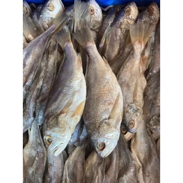 Ikan Gelama Masam Enak Terbaik 250gm - 500gm | Shopee Malaysia
