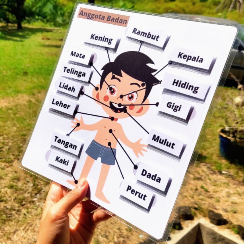 Paper Card Anggota Badan|BAHASA MELAYU |Body Parts Recognition-Body ...