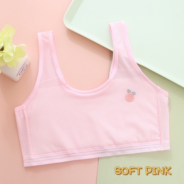 Teenage Girls Mesh Bralette Singlet Bra Budak 少女小学生透气运动内衣文胸 | Shopee ...