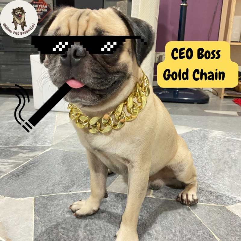 [Ready Stock] Super Thick Dog Cat CEO Boss Gold Chain Accessories ...