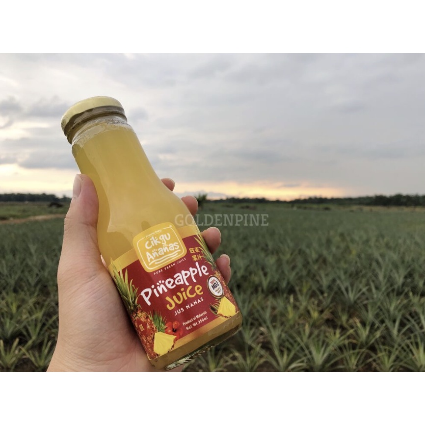 Cikgu Ananas Pure MD2 Pineapple Juice/ Jus Nanas MD2 Tulen | Shopee ...