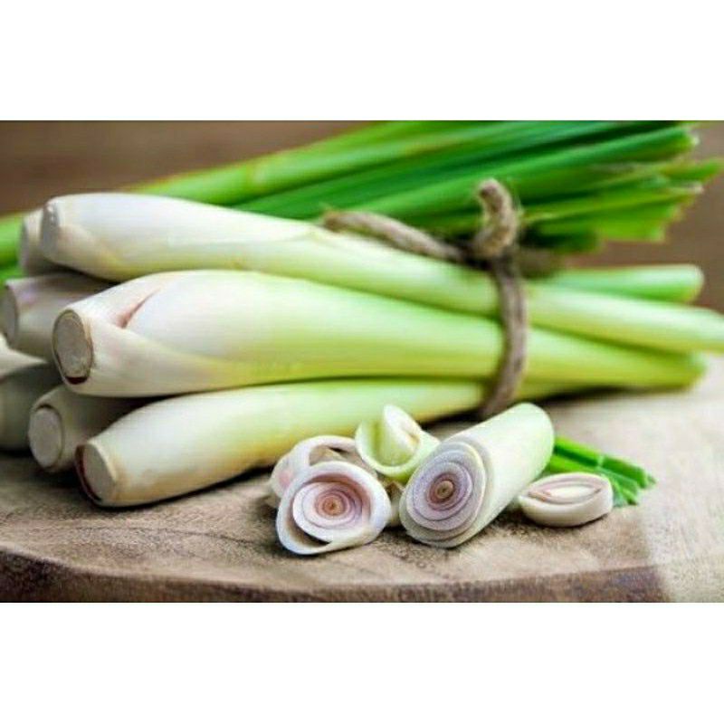 Serai jual per (1kg) | Shopee Malaysia