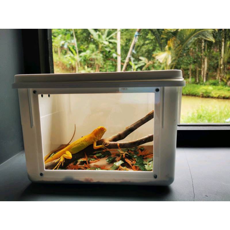 Reptile terrarium Box, gecko with usb led lights | Shopee Malaysia