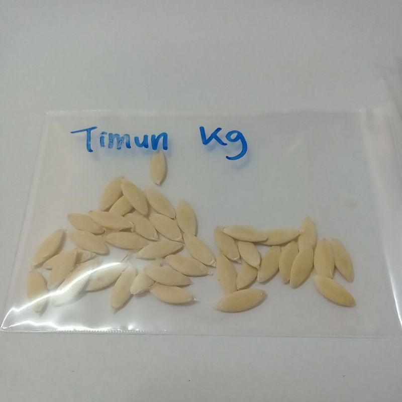 Timun kampung sabah / sangop | Shopee Malaysia