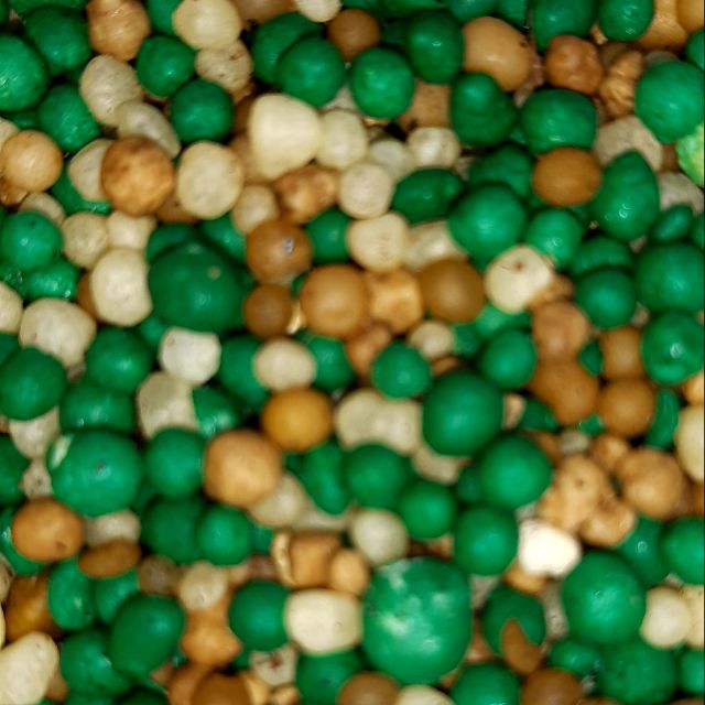 #multicote 6 month, slow release fertilizer/ baja tebaik orkid, keladi ...