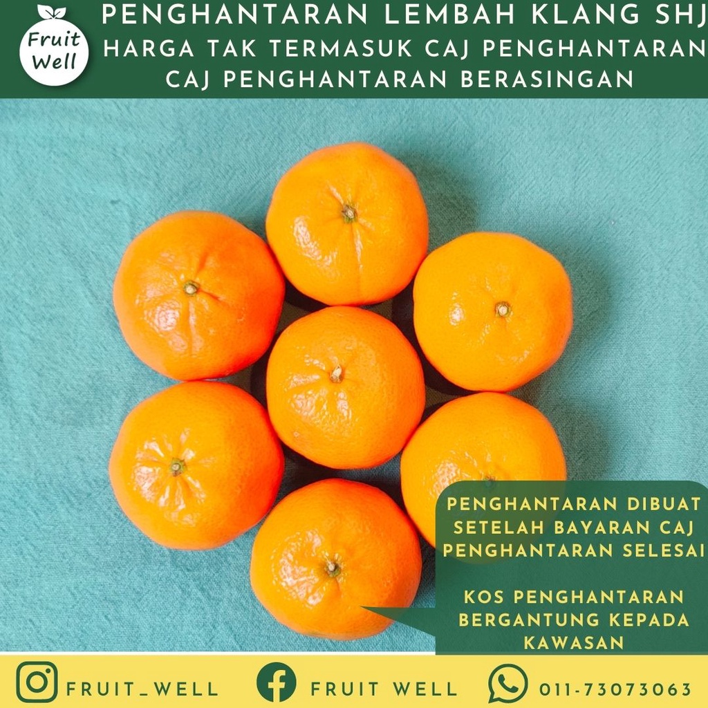 Nova Mandarin Pack 7 pcs (1kg) (Klang Valley Delivery only) | Shopee Malaysia