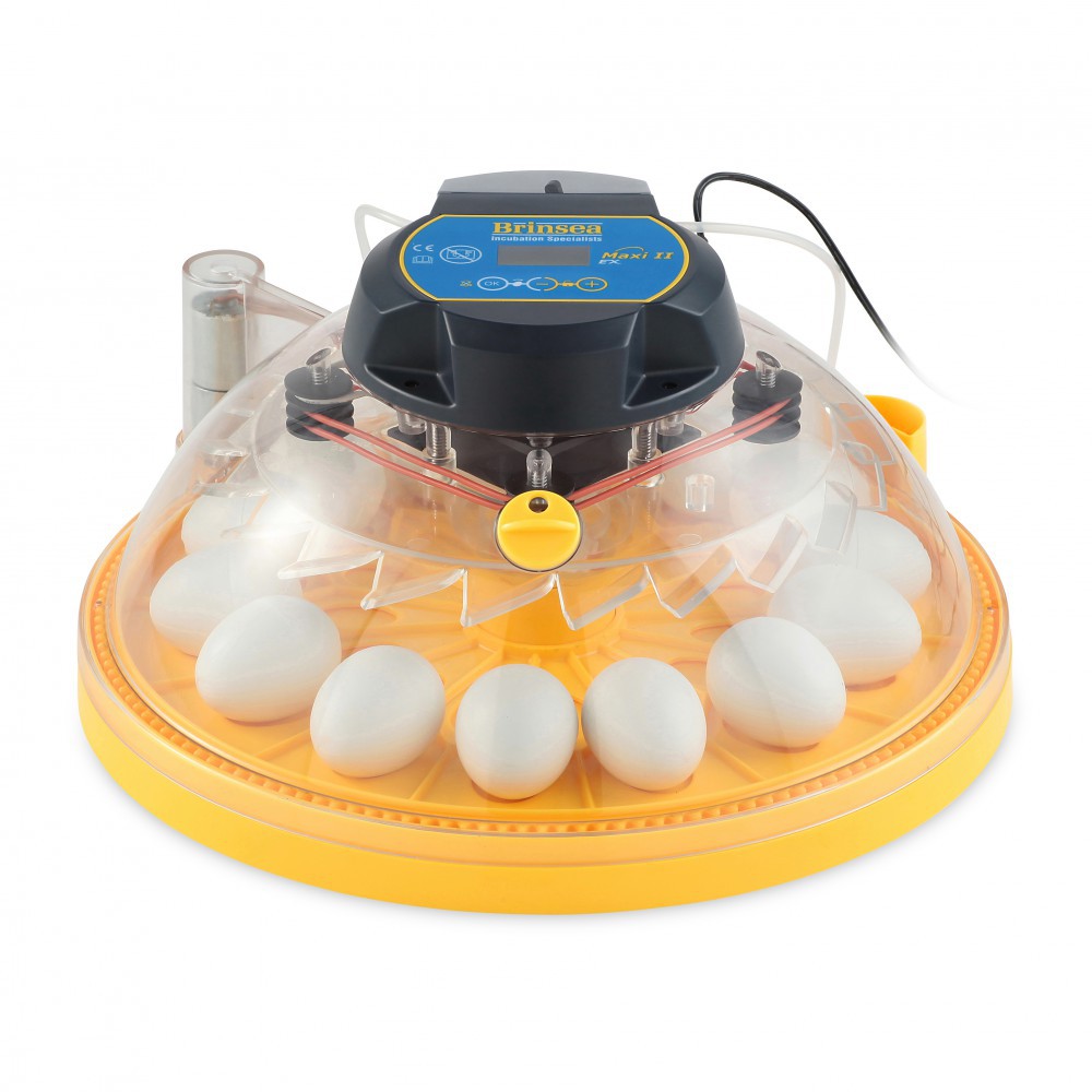 Brinsea Maxi 24 EX / Inkubator Medium / Mesin Mengeram Telur | Shopee ...