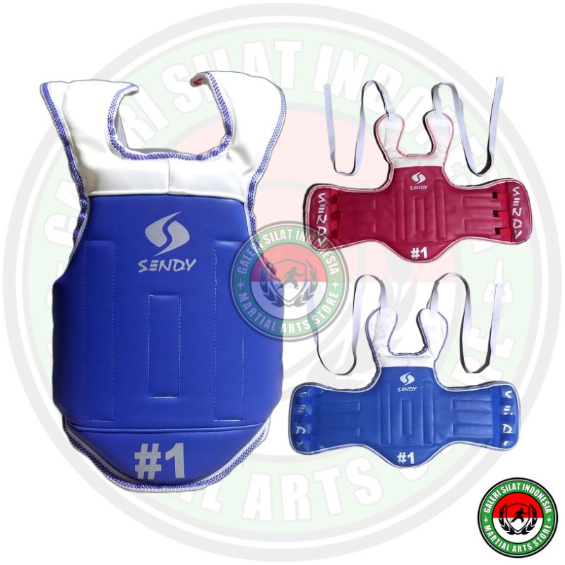 Taekwondo Bodyprotector - Taekwondo Body Protector - Hugo Taekwondo ...