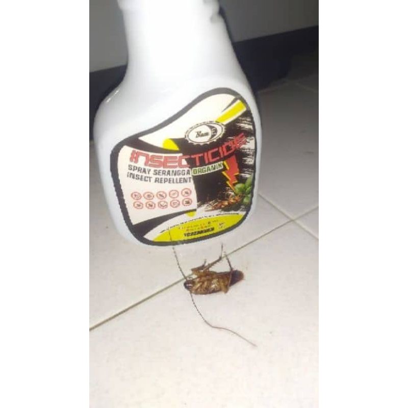 🔥SPRAY SERANGGA ORGANIK / PEMBUNUH LIPAS / UBAT LIPAS / INSECTICIDE 🔥 ...