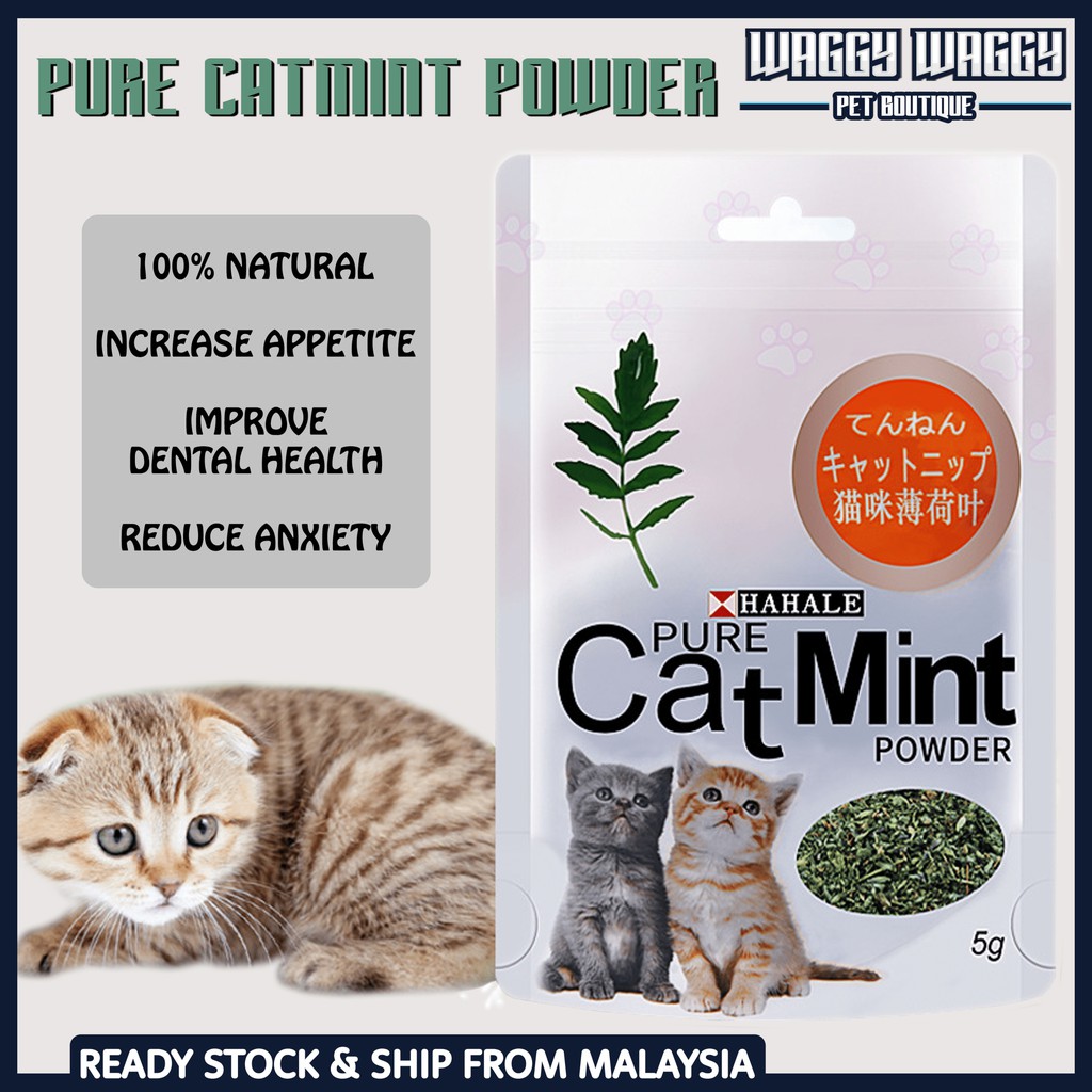 5g Pure CatMint Powder Catnip Catswort Catwort Fine Cut Organic Cat ...