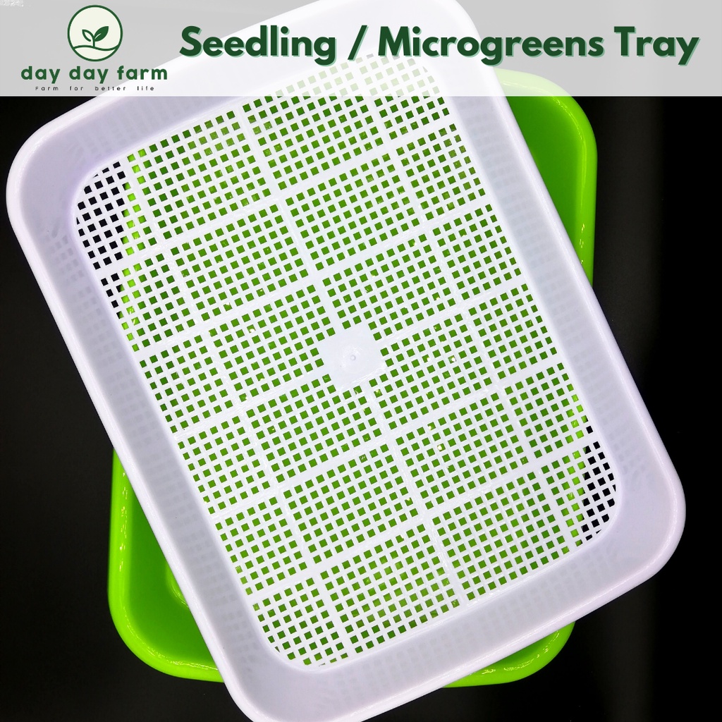 Nursery Tray / Seedling Germination tray (Double tray) / Sprout Plate ...