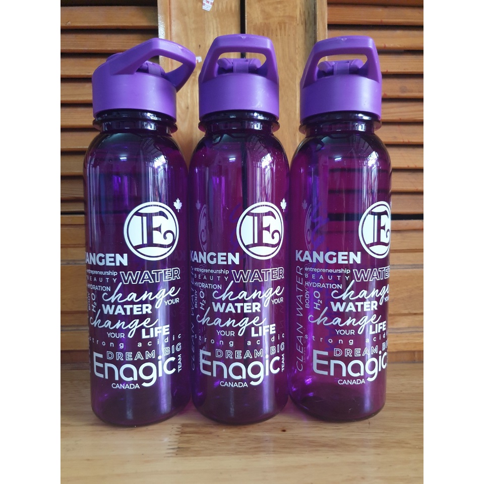 Enagic Alkaline Ionized Water Bottle to Keep Hydrogen (Made in USA ...