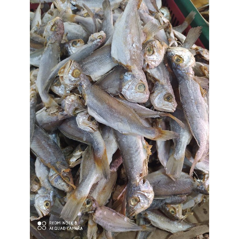IKAN MASIN GELAMA /IKAN KERING GELAMA | Shopee Malaysia