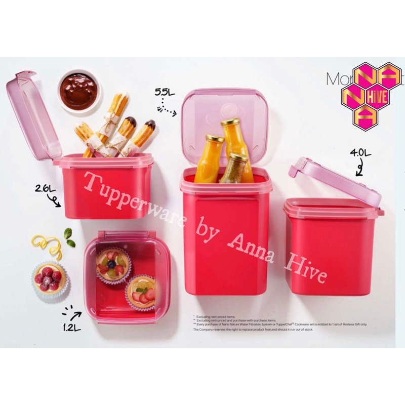 Lelong!!Tupperware Ezy Keeper Square (Organizer utk EO,Lipstick,Cat ...