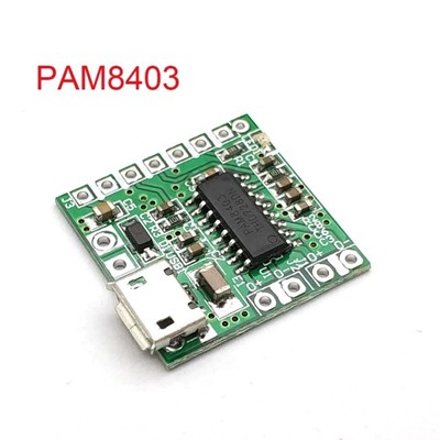 Pam8403 MICRO USB 2x3W Audio Module | Shopee Malaysia