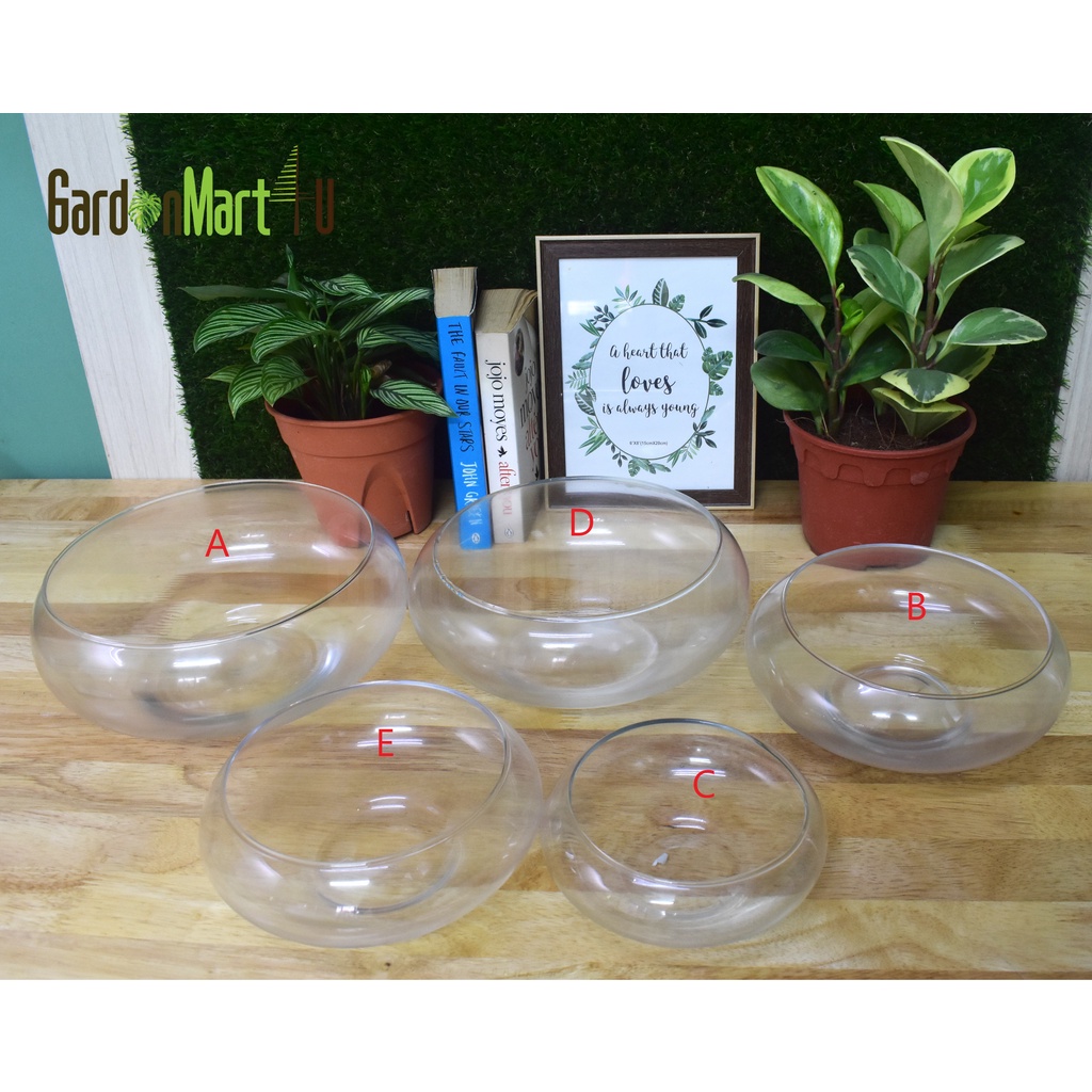 Round Transparent Glass Pot Pasu Kaca Bentuk Bulat 圆形玻璃盆 | Shopee Malaysia