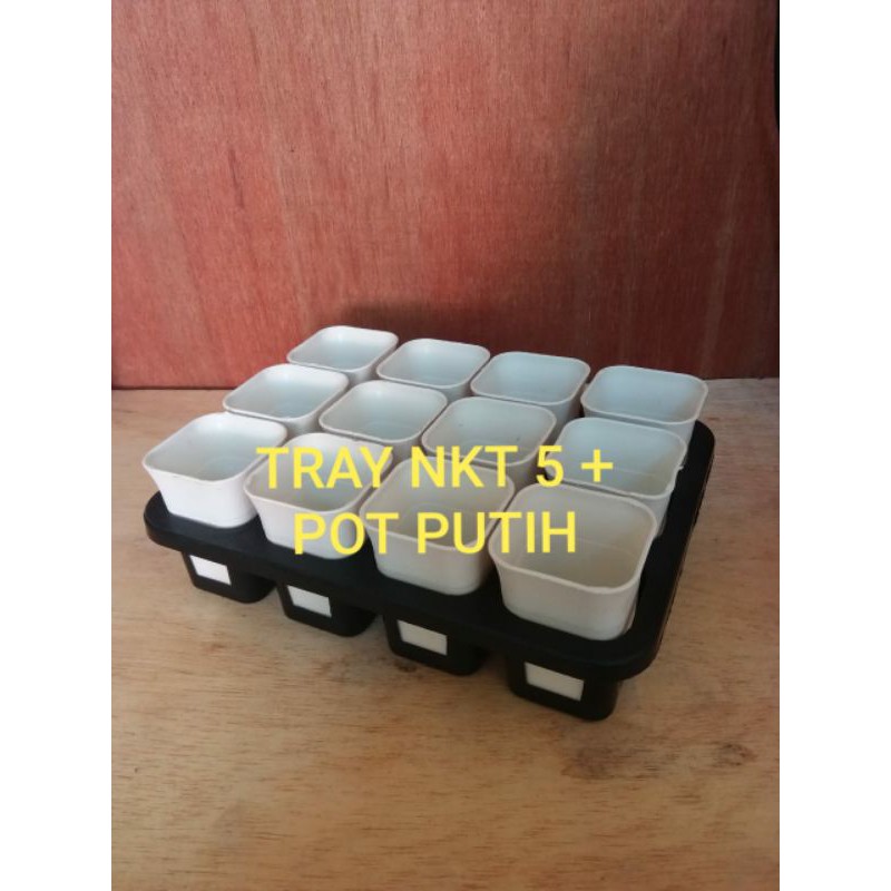 HITAM PUTIH 1 SET TRAY+5Nkt Box POT In White, Black And Clear Colors ...