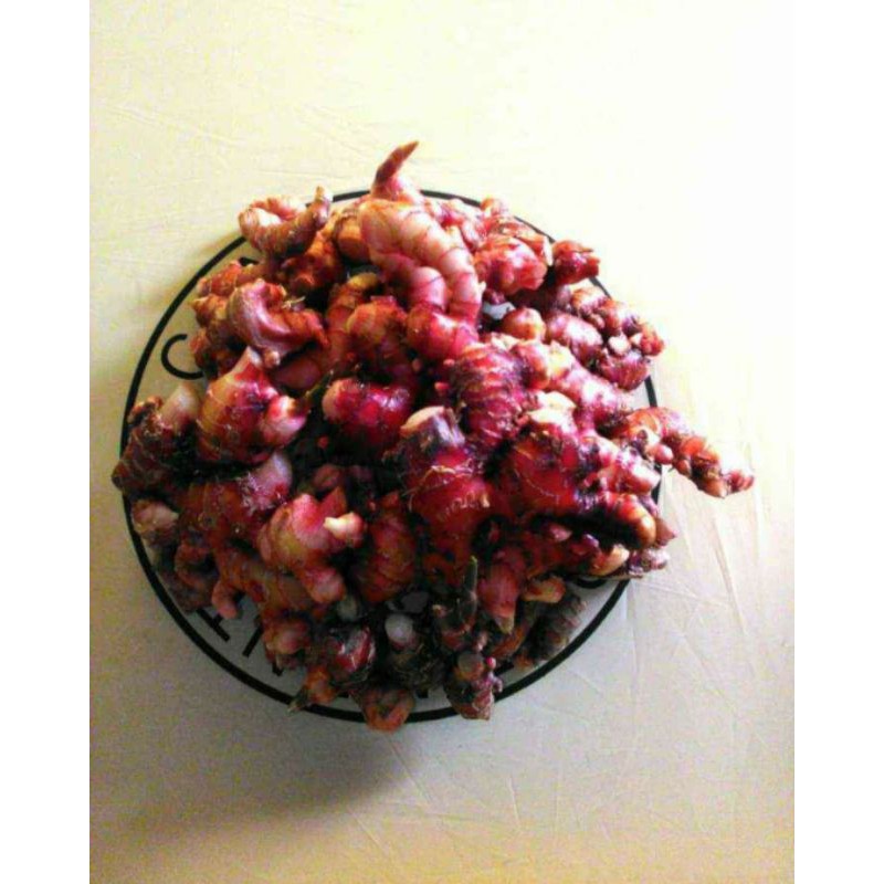 🌟Halia bara 🌟 fresh from the farm 1kg | Shopee Malaysia