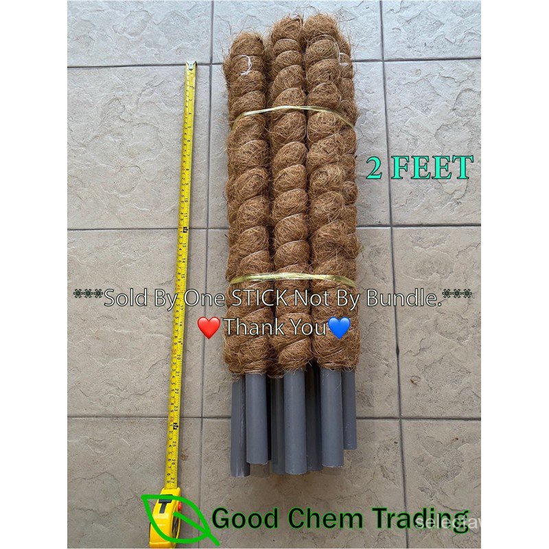 (Barang spot)Coco Stick/ Batang Sabut for Plants and Flower to Gulung ...