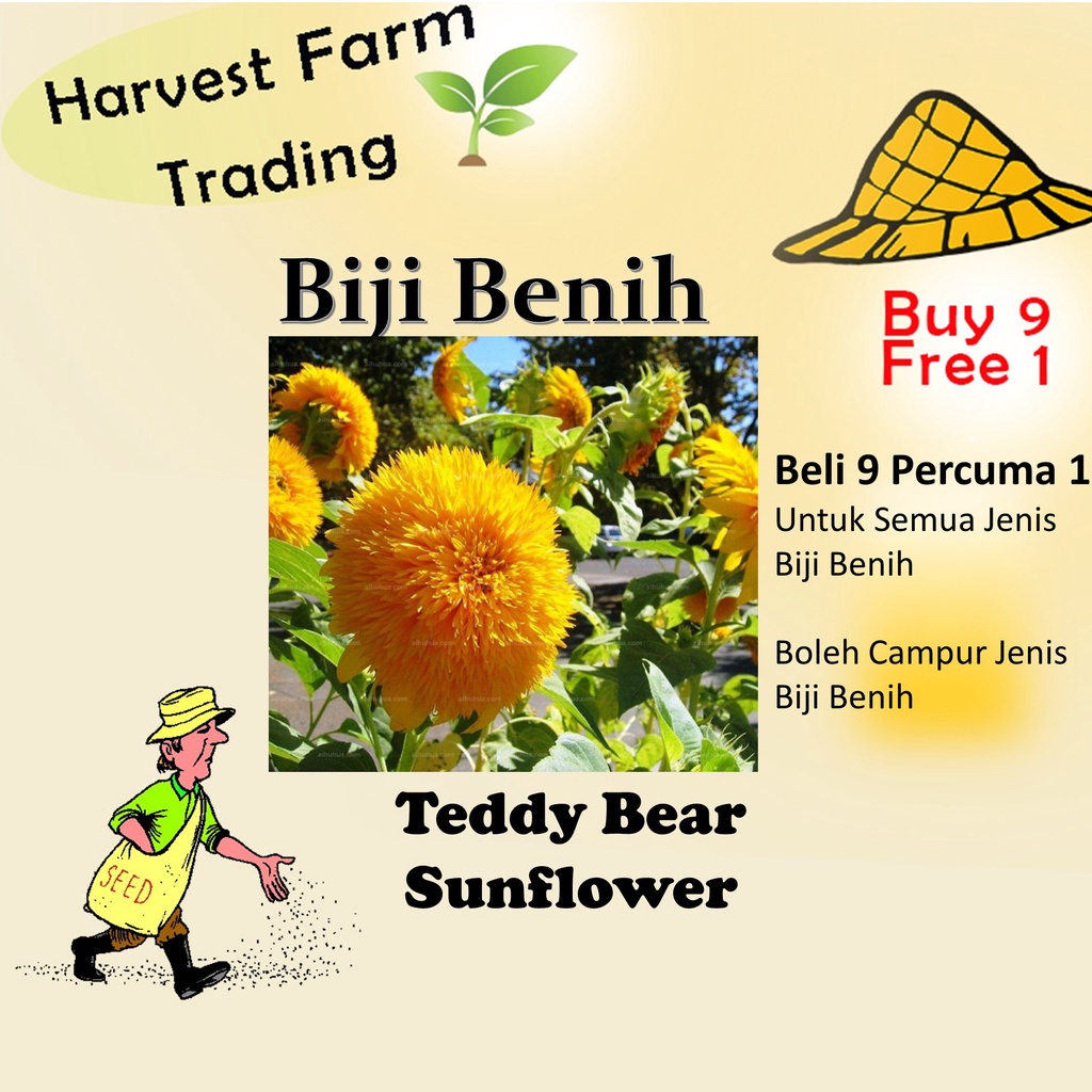 biji benih sayur sayuran pelbagai bunga vegetable seed bibit anak pokok ...