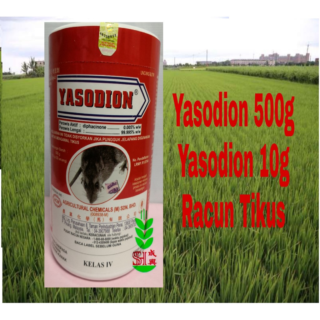 ACM Yasodion Ubat Tikus @500G | Shopee Malaysia