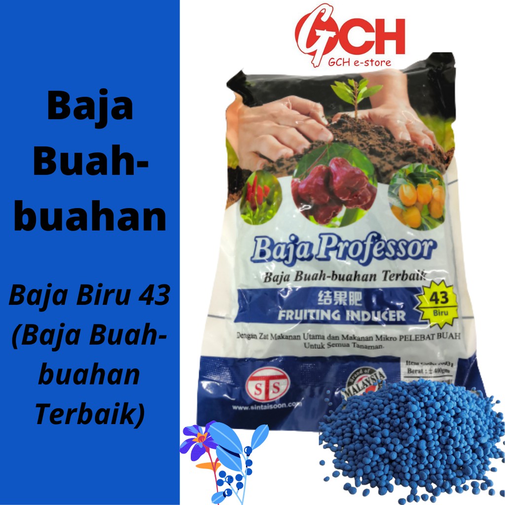 💙Baja Buah-Buahan Terbaik💙 / Baja Professor / Baja Biru 43 / Fruit ...