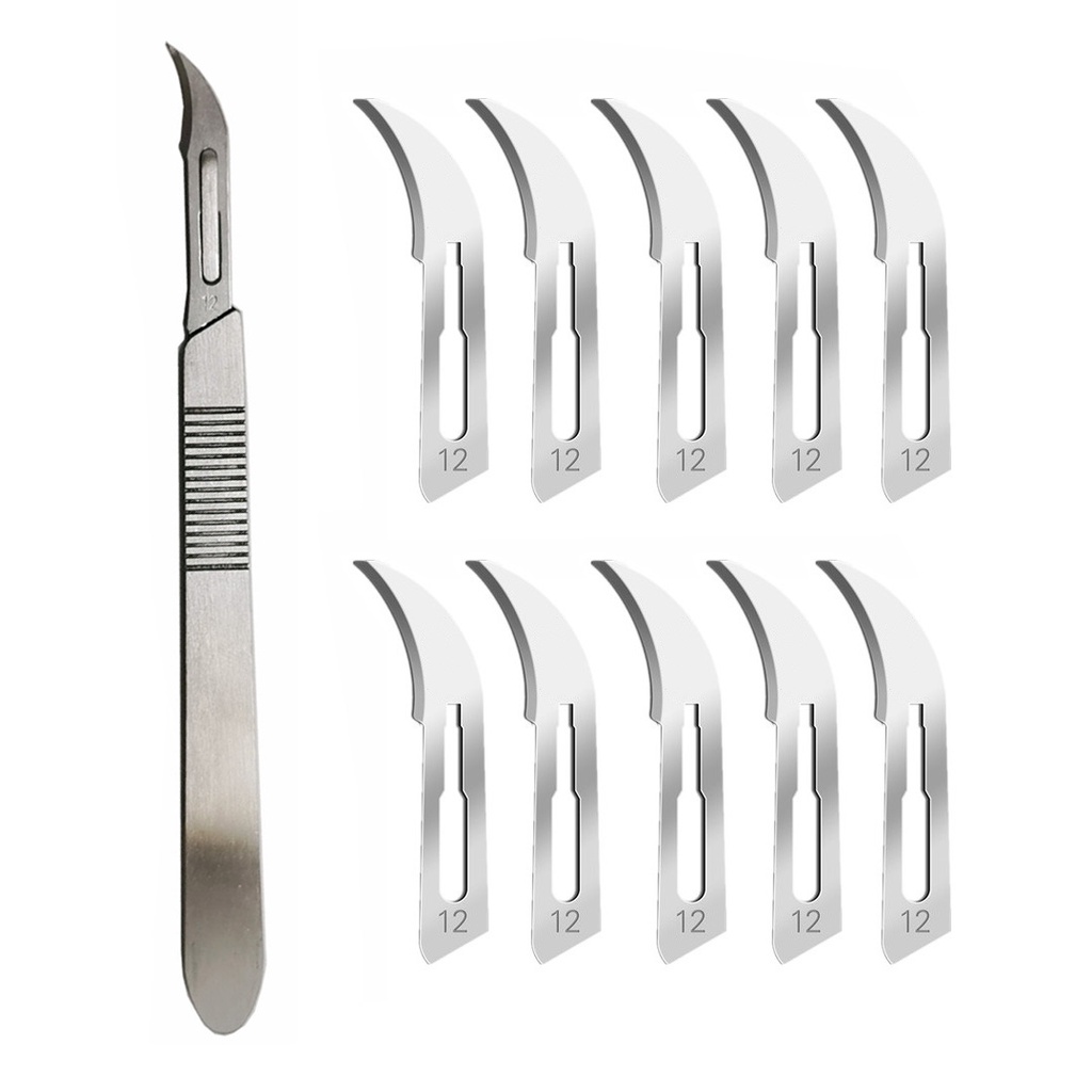 10Pcs Sterile Scalpel Blades #10/11/12/15/20/22/23 with Handle for ...