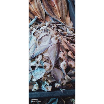 (250gram) Ikan pelata masin kering murah dan sedap dari kelantan dan ...
