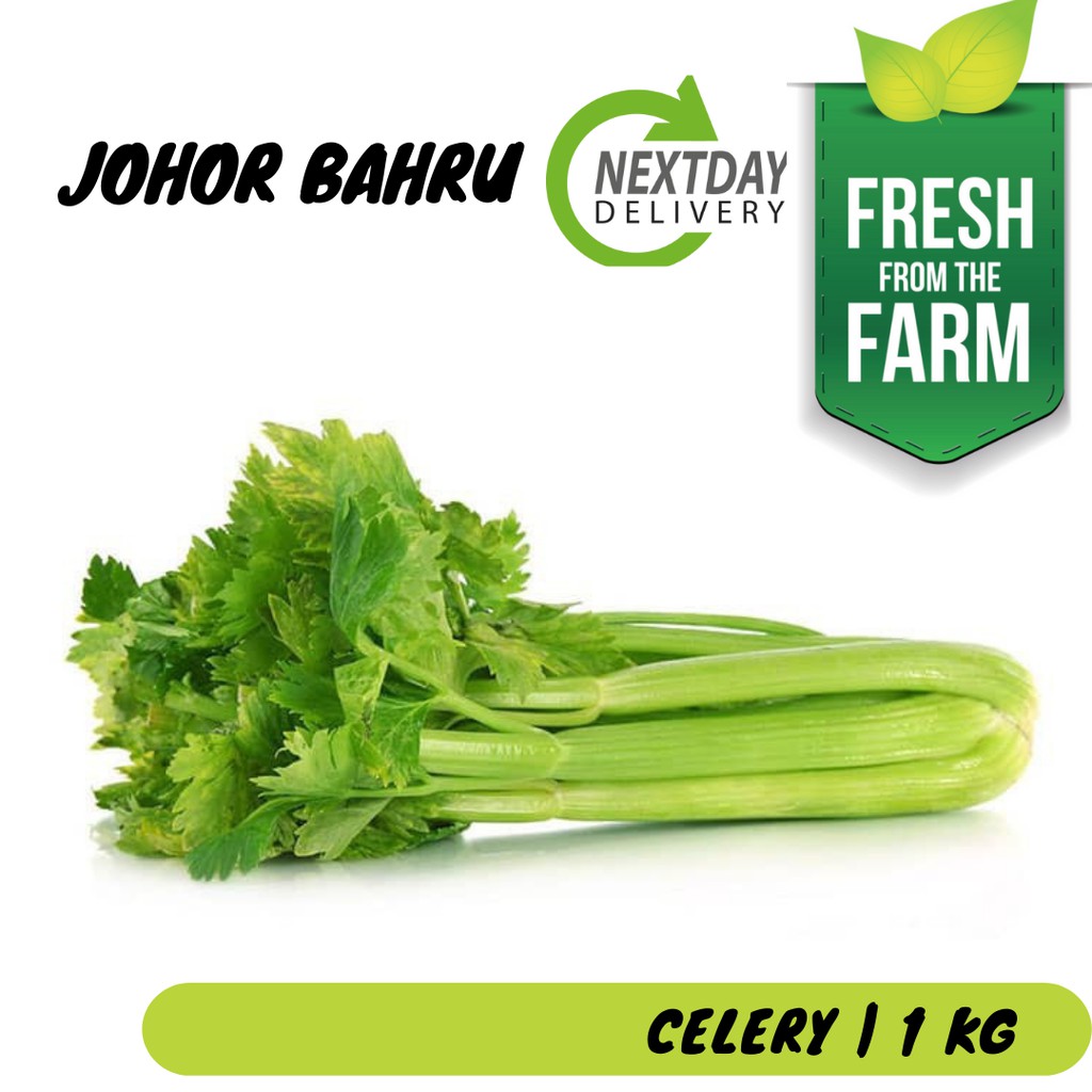 FRESH CELERY / BATANG SUP SEGAR 新鲜芹菜 (1KG) | Shopee Malaysia