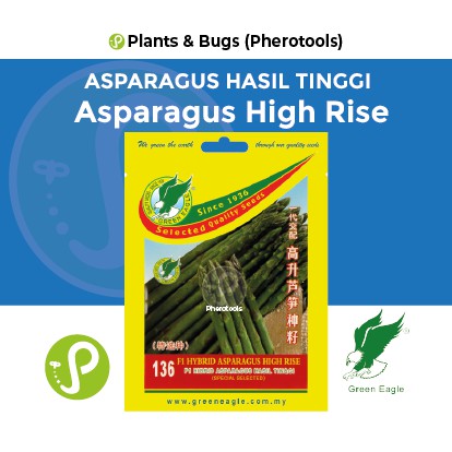 Green Eagle 136 F1 Hybrid High Rise Asparagus Seeds Benih Asparagus ...