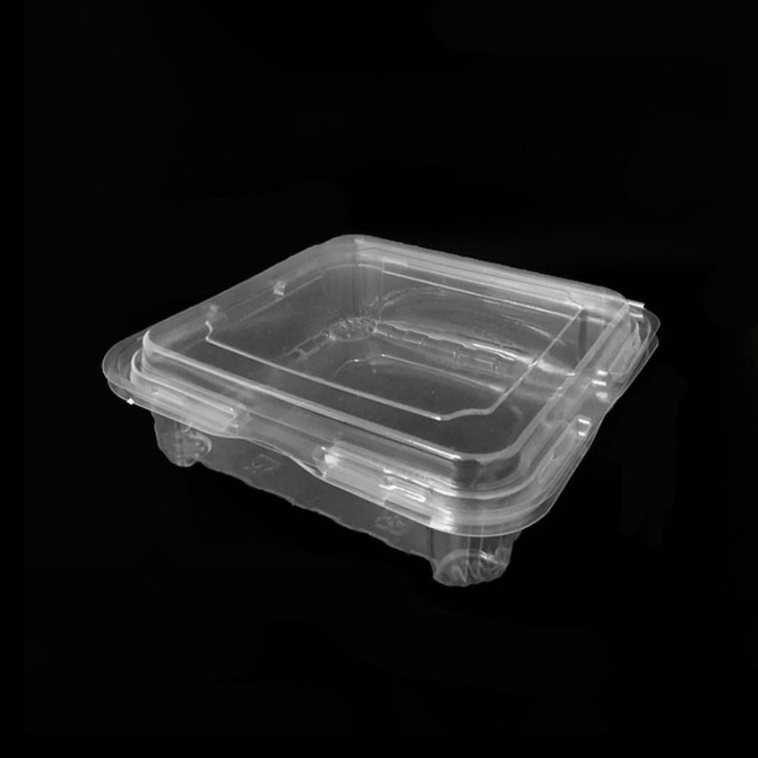 TPP Plastic Tray/ Clam Shell/ Disposable Tray PET - ESTPPCS-1 (Clear ...