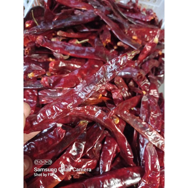 Cili Kering Panjang (100g) Pedas | Shopee Malaysia
