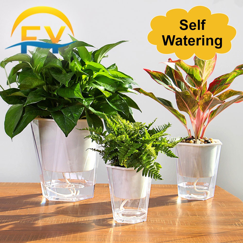 FY Self Watering Pot Flower Pot Pasu Bunga Transparent Hexagon Indoor ...