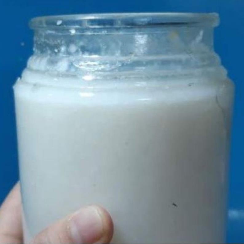 Rice SURGERY 500ML | Shopee Malaysia