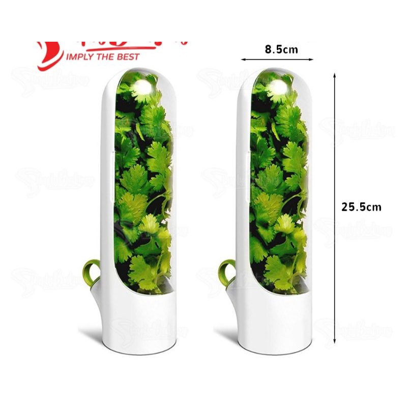 BEKAS SIMPAN DAUN SUP DAUN BAWANG DAUN KETUMBAR | Shopee Malaysia
