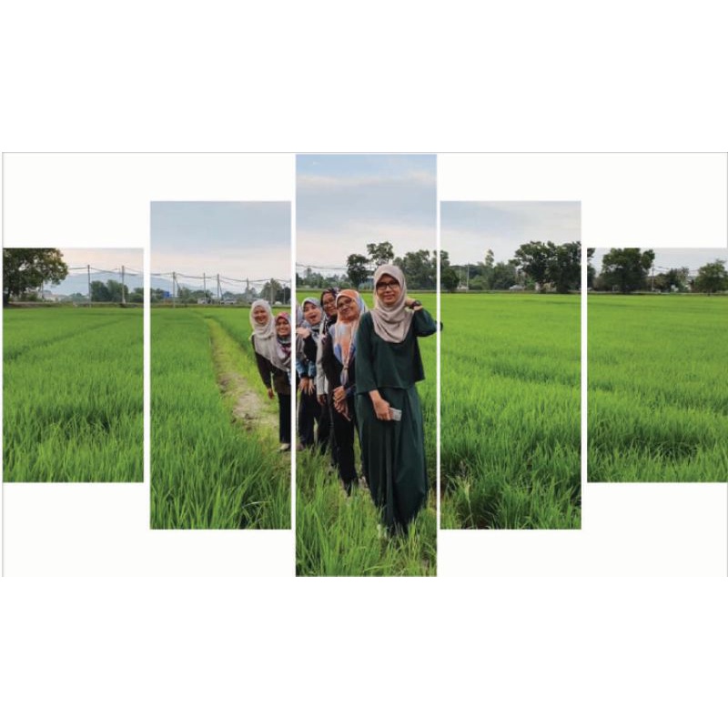 RALIT Canvas premium 5 panel (saiz kecil) | Shopee Malaysia