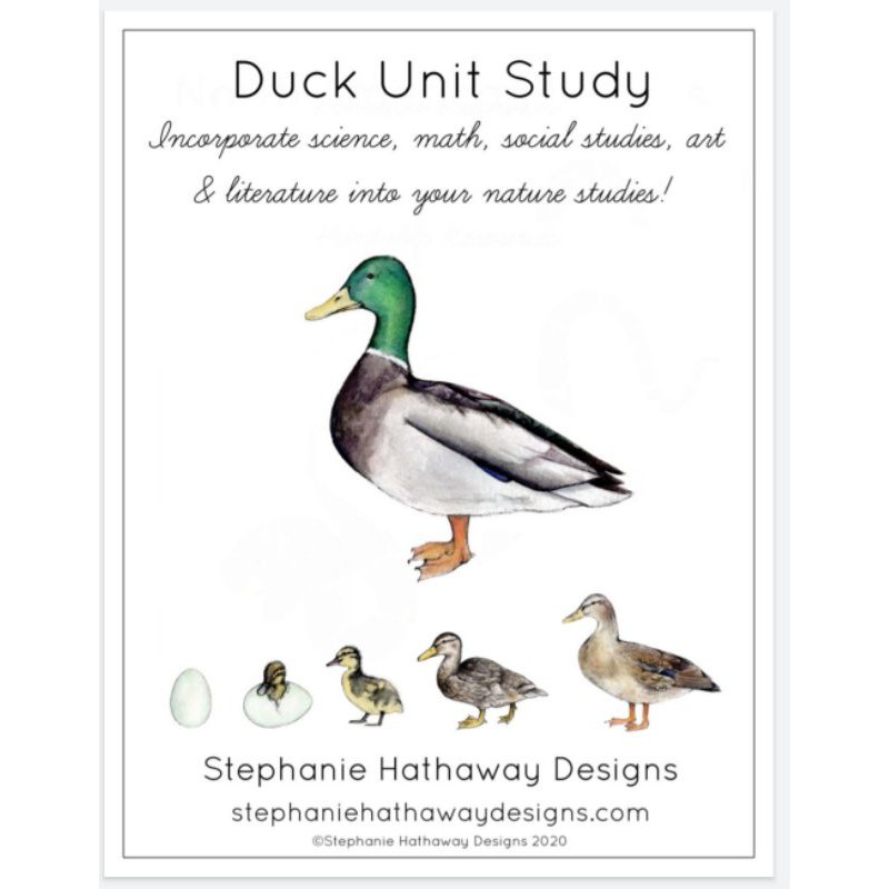 (PDF) 054 Ducks Unit Study (61 pages) | Shopee Malaysia