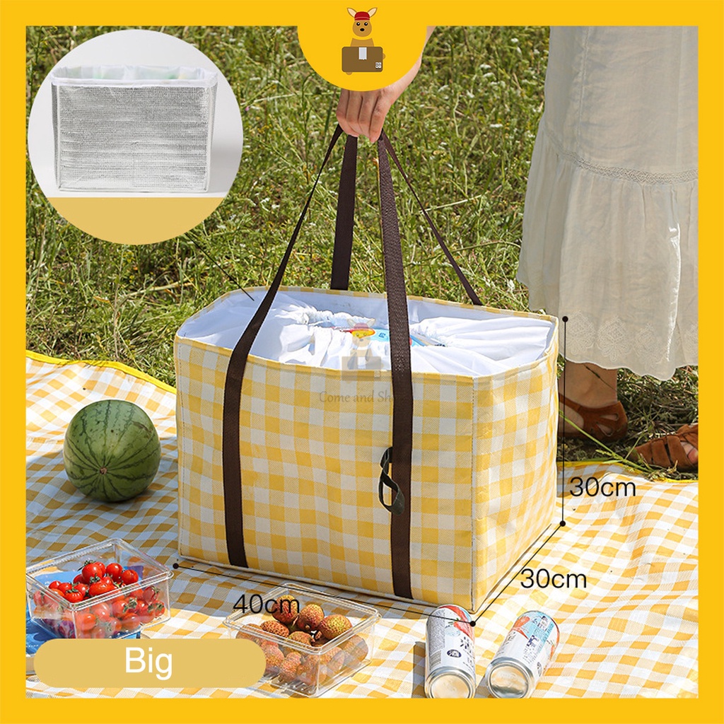 Insulated Portable Picnic Bag Aluminum Foil Outdoor Foldable Camping ...