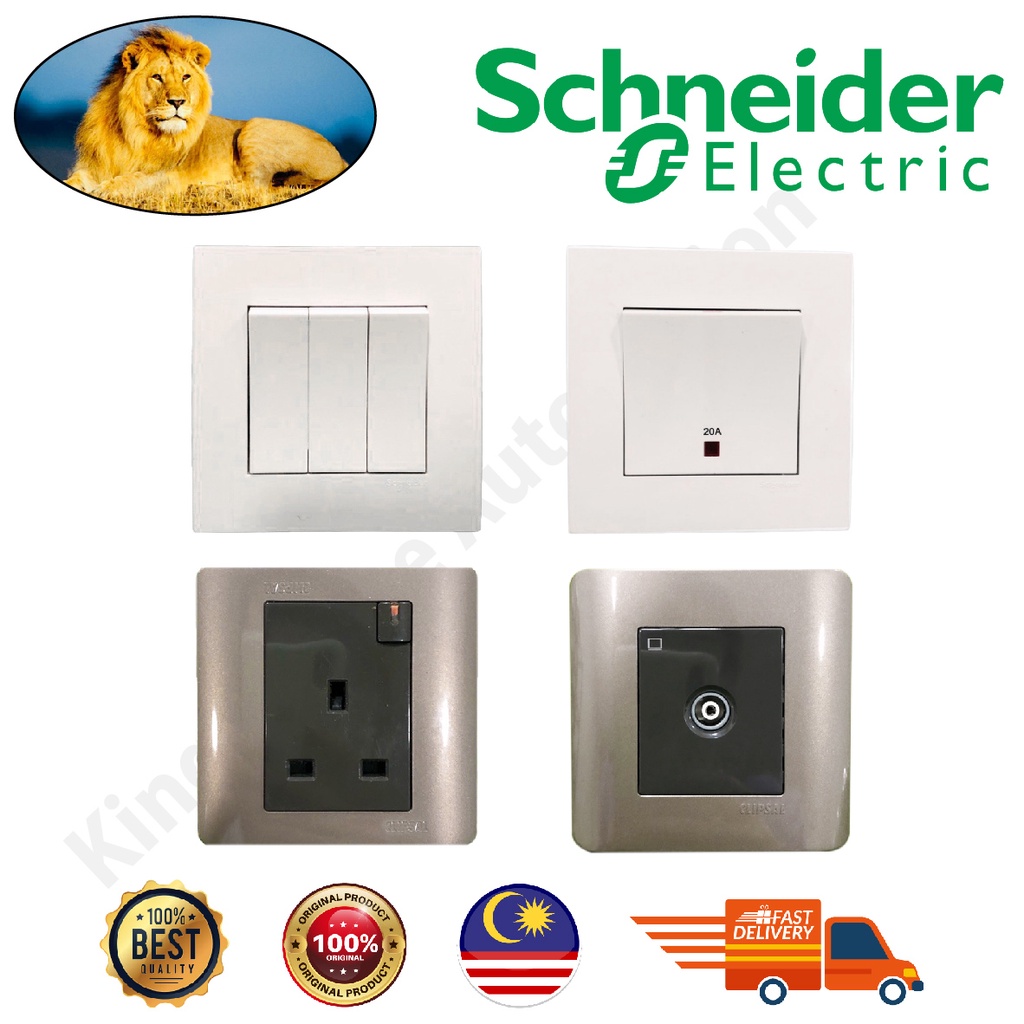 SCHNEIDER Vivace 20A Double Pole Switch with Neon/20A Double Pole ...