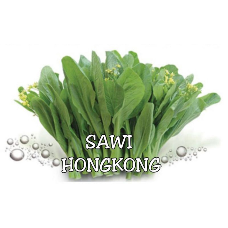 Benih Sayur SAWI BUNGA HONG KONG | Shopee Malaysia